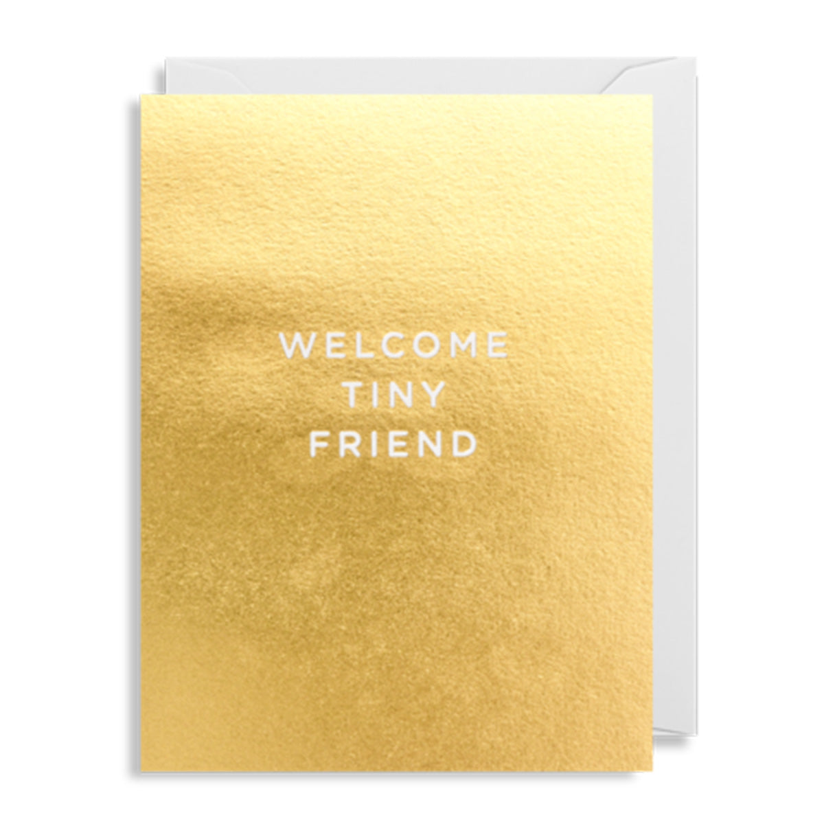 Welcome Tiny Friend – Hedgerow Limited