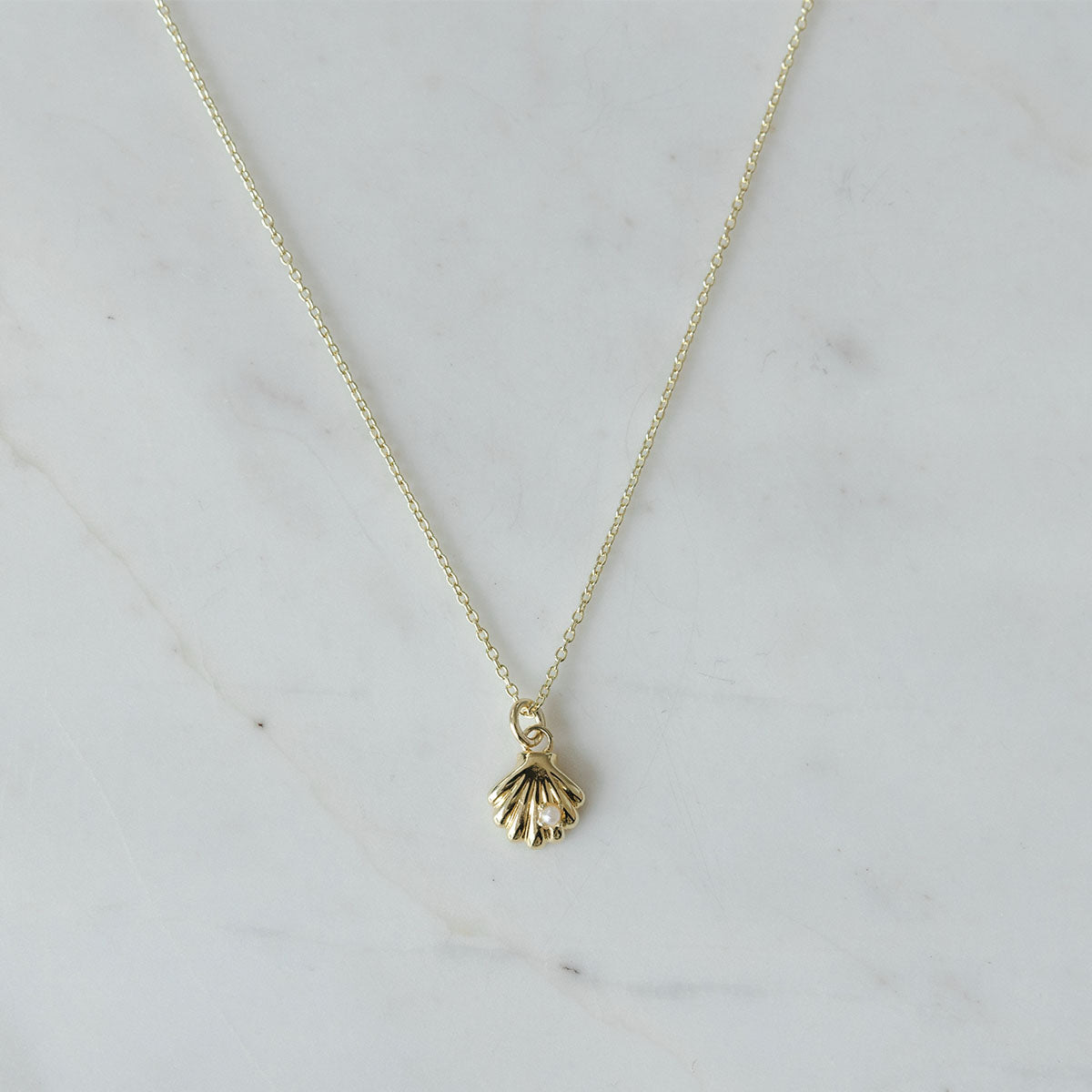 Super She Shell Necklace – Hedgerow Limited